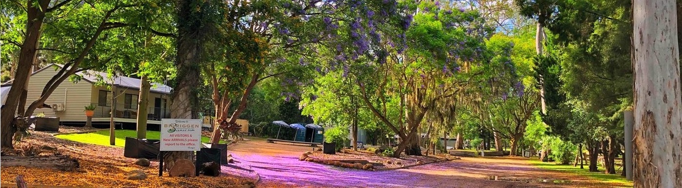 Bigriggen | Family Holiday Fun