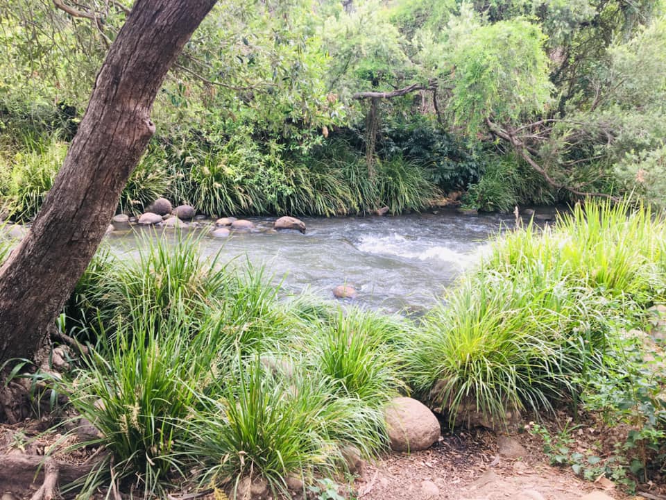 Bigriggen | Family Holiday Fun